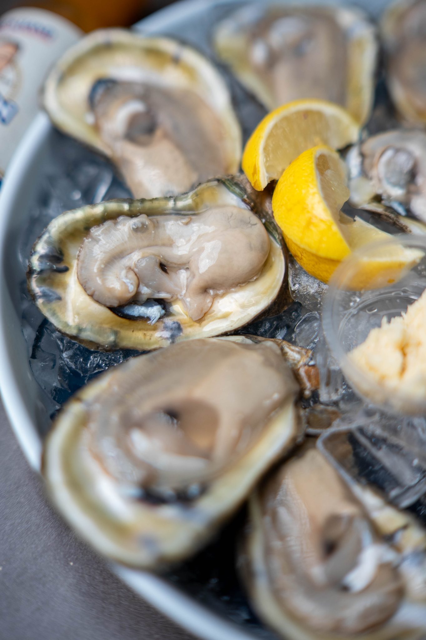 Gallery – Ocean Blue Oyster Bar